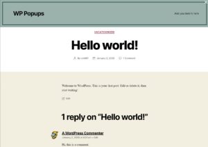 Different WP Popups Display Positions & How to Set Position - WP Popups Documentation